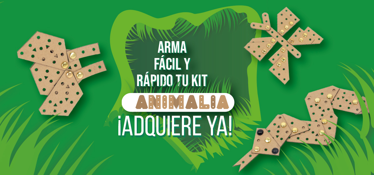 Nosotros – Robolution